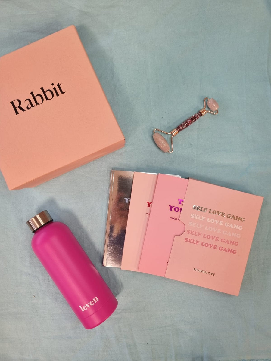 Rabbit Boxes | Barbie #3